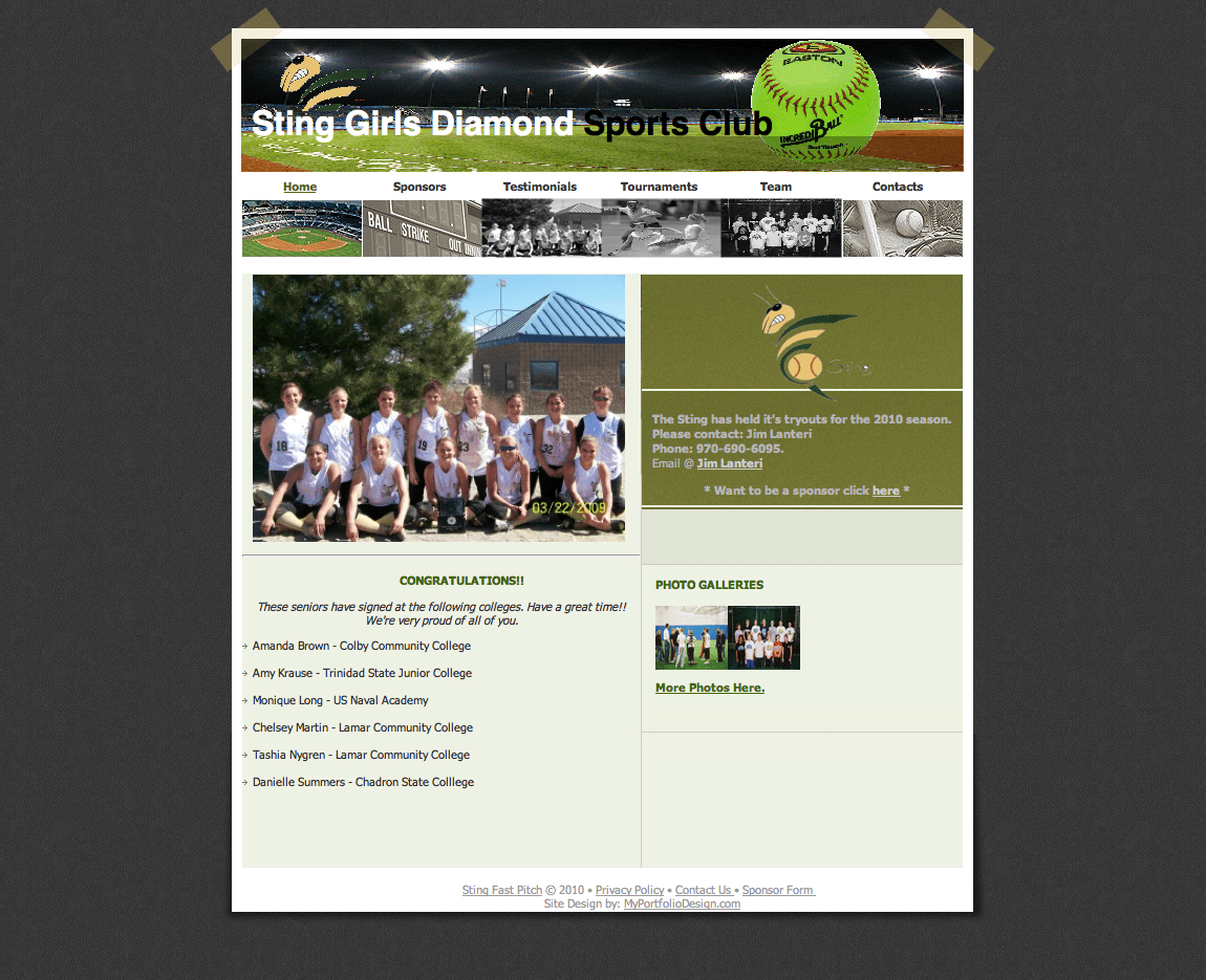Sting Fast Pitch | Vital Web Design